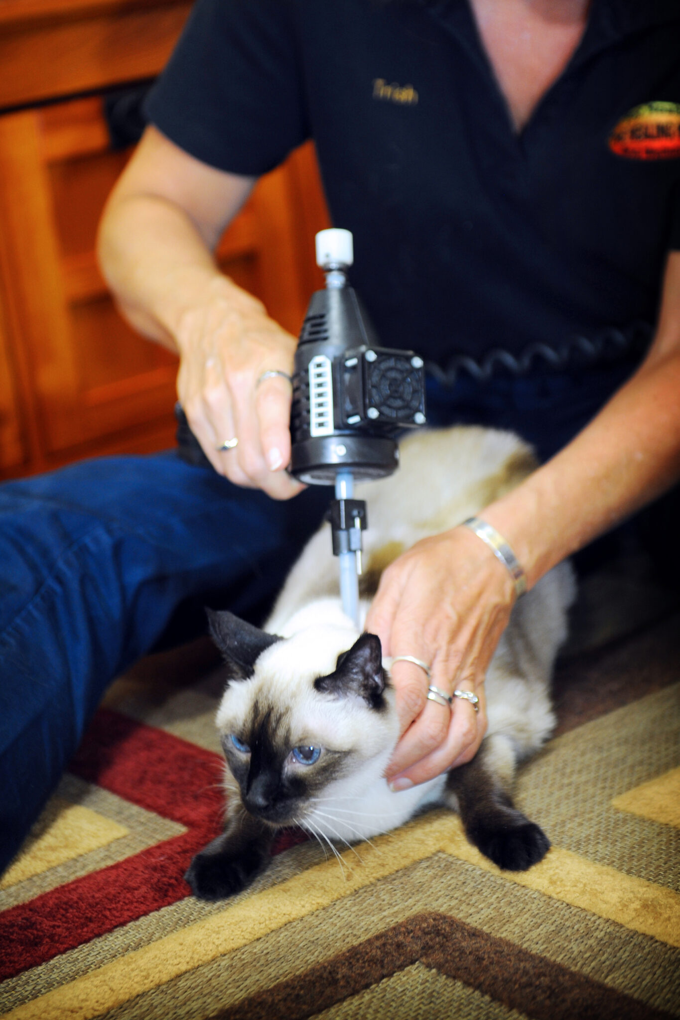 What is VOM? - VomTech